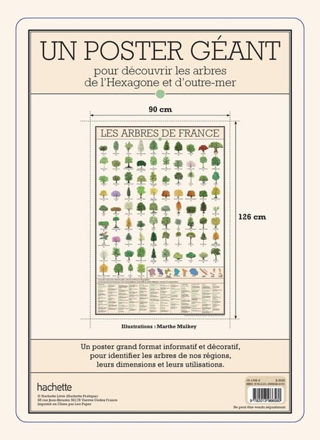 Les arbres de France : Un poster géant informatif et décoratif- Livre ...