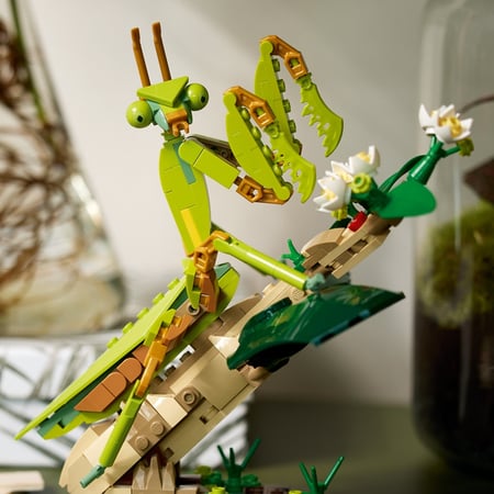 LEGO® 21342 - La collection d’insectes - LEGO® Ideas - Jeux de ...