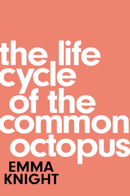 The Life Cycle of the Common Octopus - a gorgeous novel of first love ...
