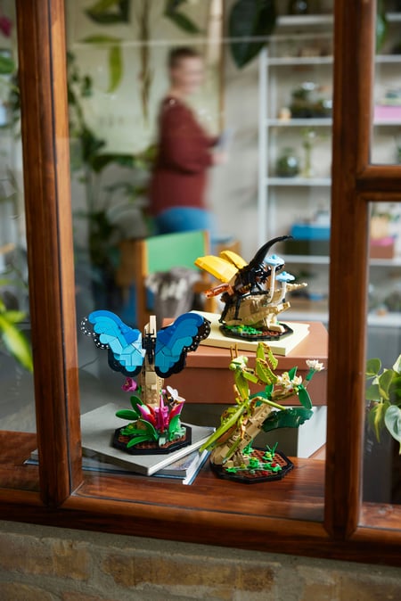 LEGO® 21342 - La collection d’insectes - LEGO® Ideas - Jeux de ...