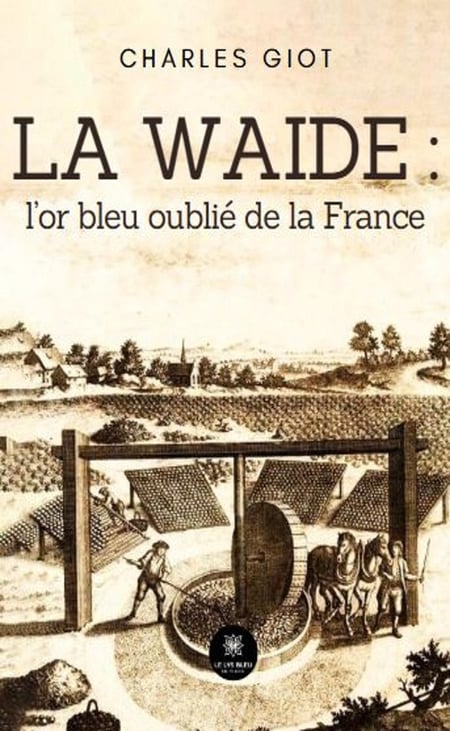 La waide : l'or bleu oublié de la France | Cultura