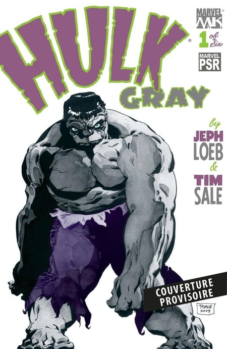 Hulk : Gris - Edition définitive- Comics Super Héros - Comics | Cultura