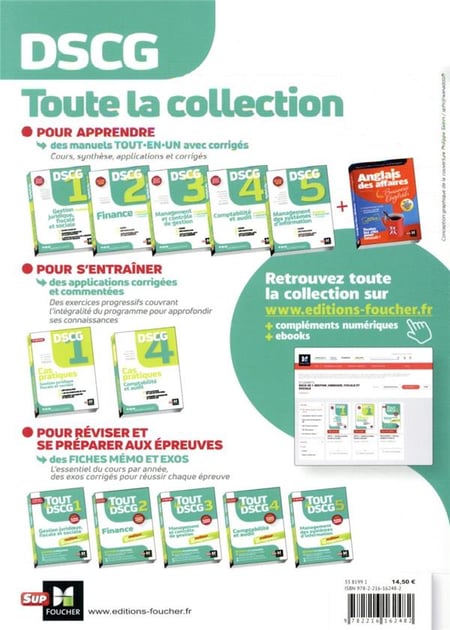 Tout le DSCG 3 - management et contrôle de gestion - en fiches mémo (2e édition) : Larry ...