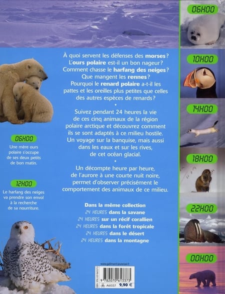 24 heures dans l'arctique - une journee avec les animaux de la zone ...