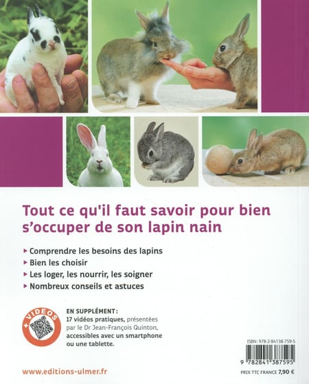 Lapins nains : Jean-François Quinton - 2841387593 - Livres sur les ...