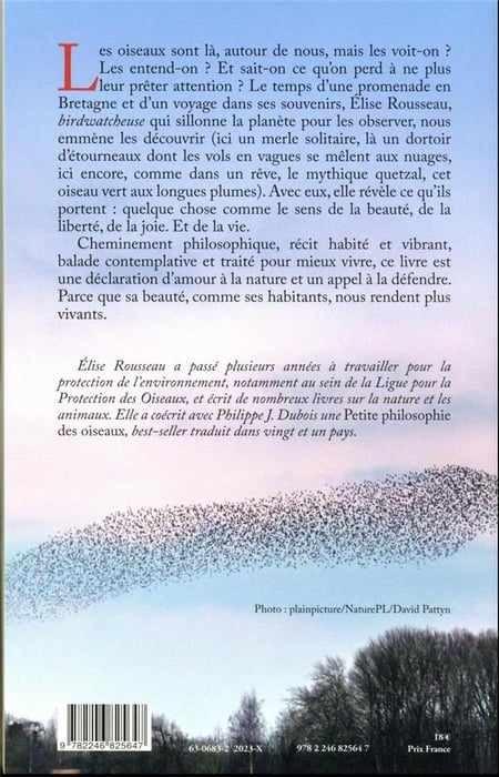 Sur le chemin des oiseaux : Elise Rousseau - 2246825644 | Cultura