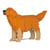Chien Golden Retriever la queue en l'air pattes sales marron Taille ...