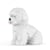 Chien Bichon à poil frisé assis Taille standard | JEKCA | 14 ans et ...