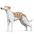 Chien Lévrier Whippet Taille standard | JEKCA | 14 ans et +- Jeux de ...