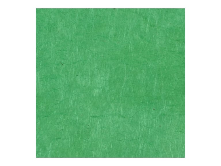 Feuille de papier Lokta - 50X70 - Chlorophyll - Toiles | Cultura
