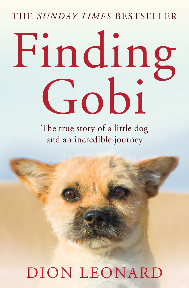 Finding Gobi (Main Edition) - The True Story of a Little Dog and an ...