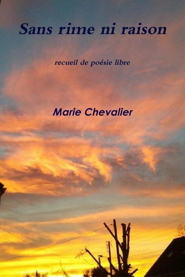Sans rime ni raison : Marie Chevalier - 1326462571 - Poésie | Cultura