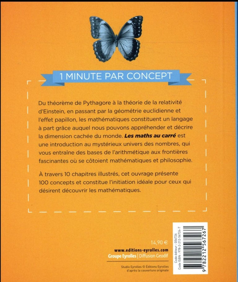 Les maths au carré - 100 concepts de base : Rachel A. Thomas,Marianne ...