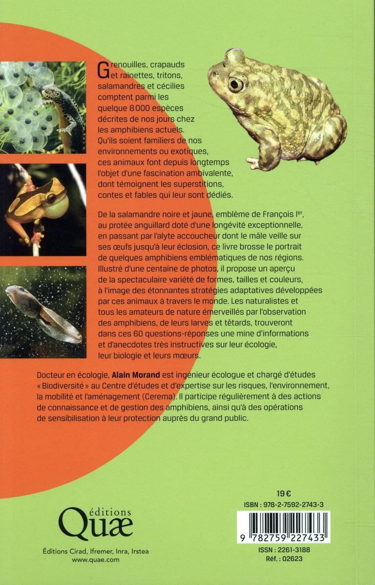 Les amphibiens à la loupe : Alain Morand - 275922743X - Livres sur les ...