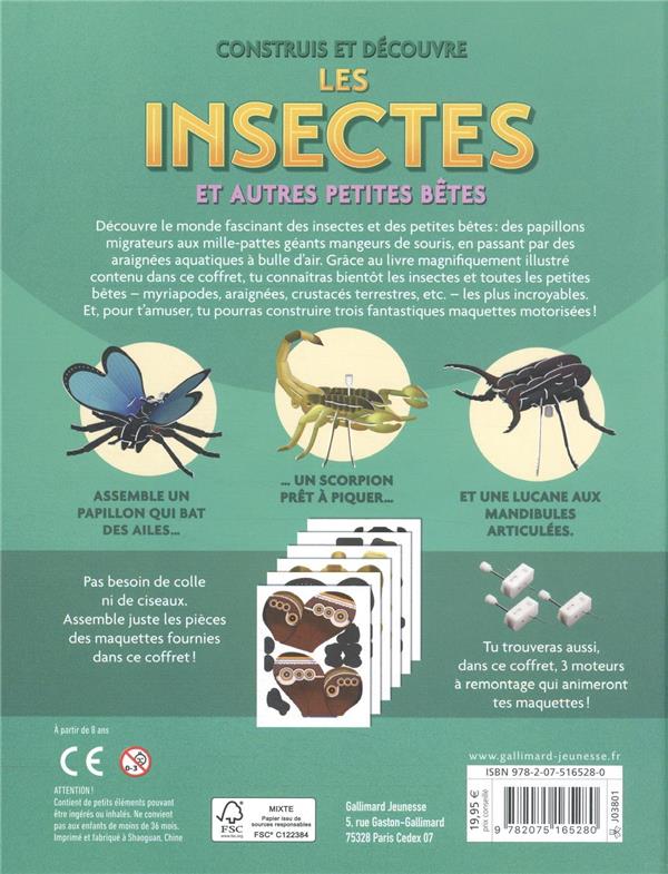 Construis et découvre : les insectes : Collectif - 2075165289 - Livres ...