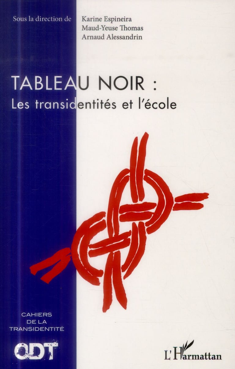 Tableau noir : les transidentités et l'école : Maud-Yeuse Thomas,Karine ...