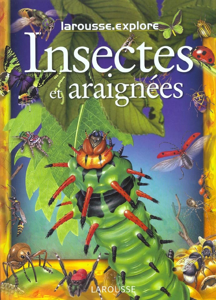 Les insectes et les araignees : Vincent Albouy - 2035650542 - Livres ...