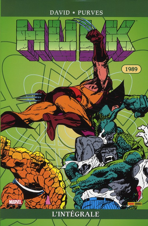 Hulk : Intégrale vol.4 : 1989 : Jeff Purves,Peter David - 2809413886 ...