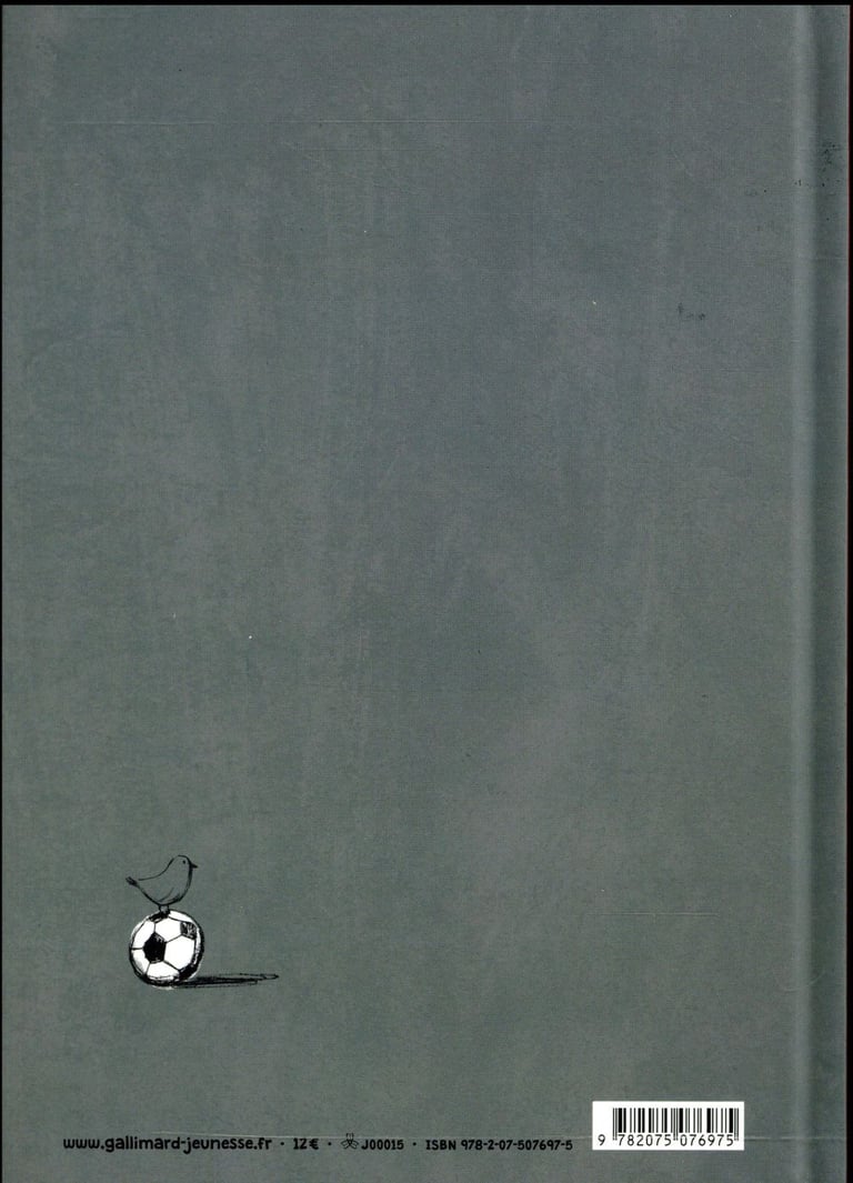 Le jour où je suis devenu un oiseau : Ingrid Chabbert - 2075076979 ...