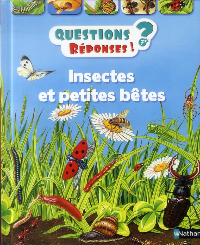 Questions reponses 7+ - insectes et petites bêtes : Amanda O'Neill ...