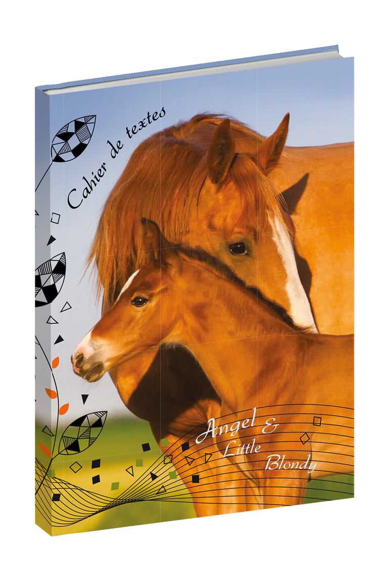 Cahier de Textes - Cheval Cultura - 16x22cm - Cahiers de Texte ...