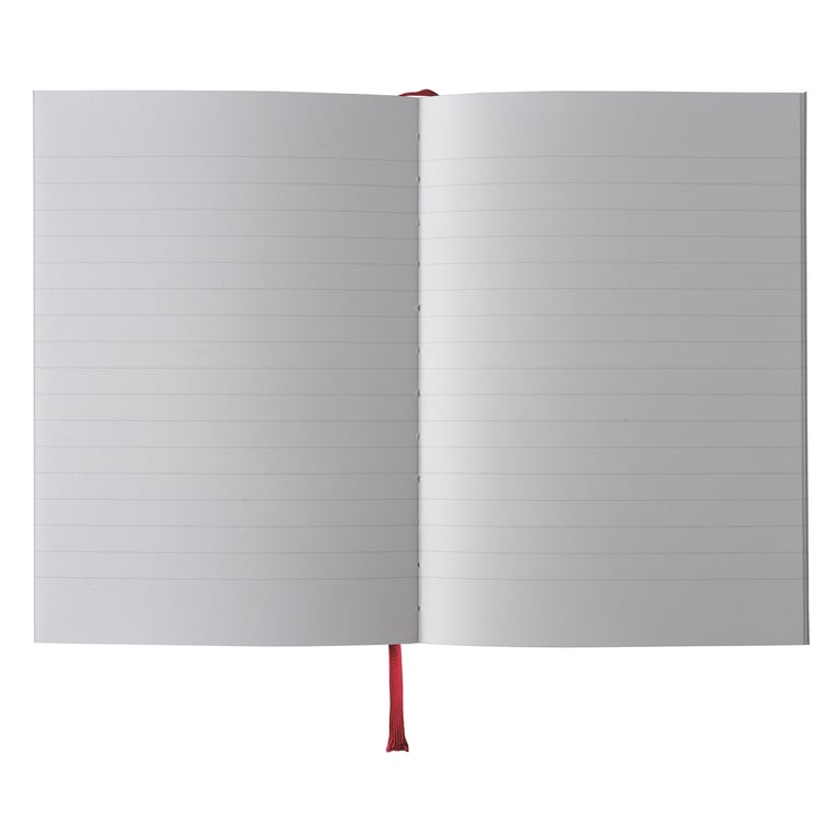 Carnet - Format A5 14.8 x 21 cm - Gold Fever - Oberthur - 96 pages ...