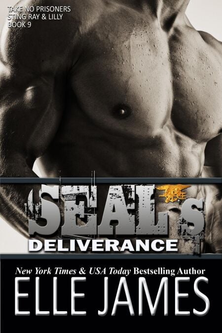 SEAL's Deception - Take No Prisoners, #8 | Cultura