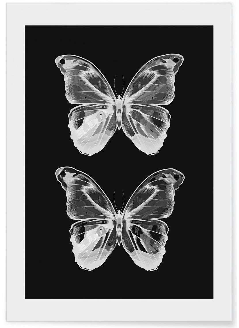 Poster Papillons 2 | A3 : 29,7x42cm- Imagerie Murale - Encadrement ...