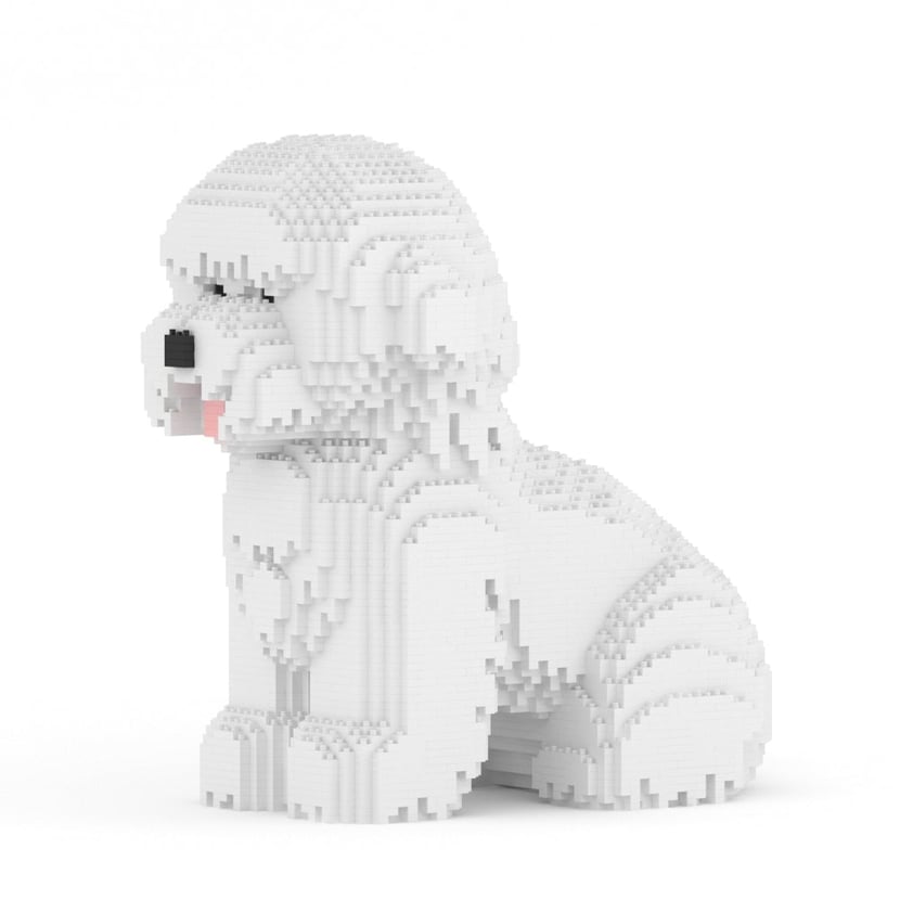 Chien Bichon à poil frisé assis Taille standard | JEKCA | 14 ans et ...