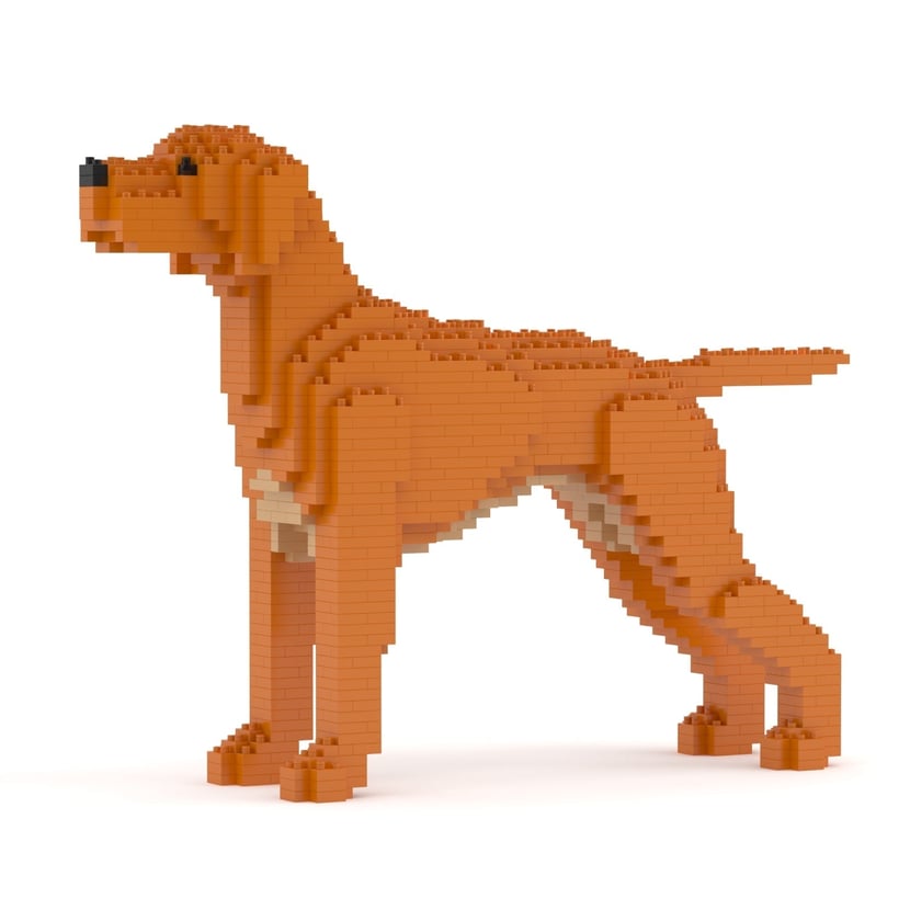 Vizsla hongrois 01 Taille standard | JEKCA | 14 ans et +- Jeux de ...