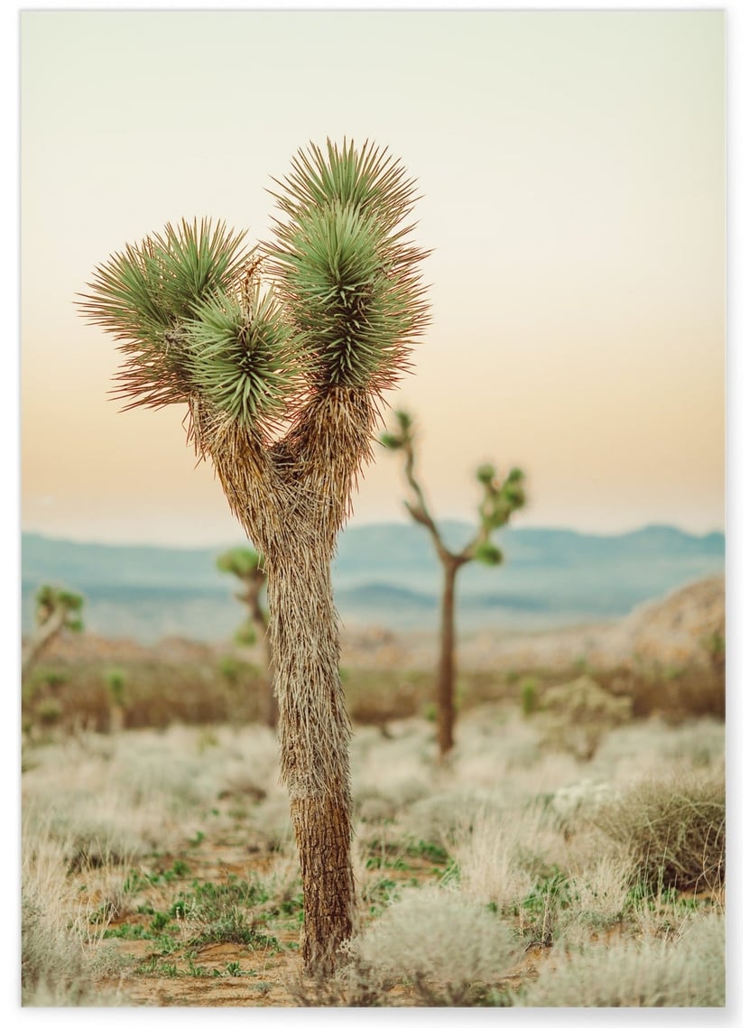 Poster Nature Desert 4 | A3 : 29,7x42cm- Imagerie Murale - Encadrement ...