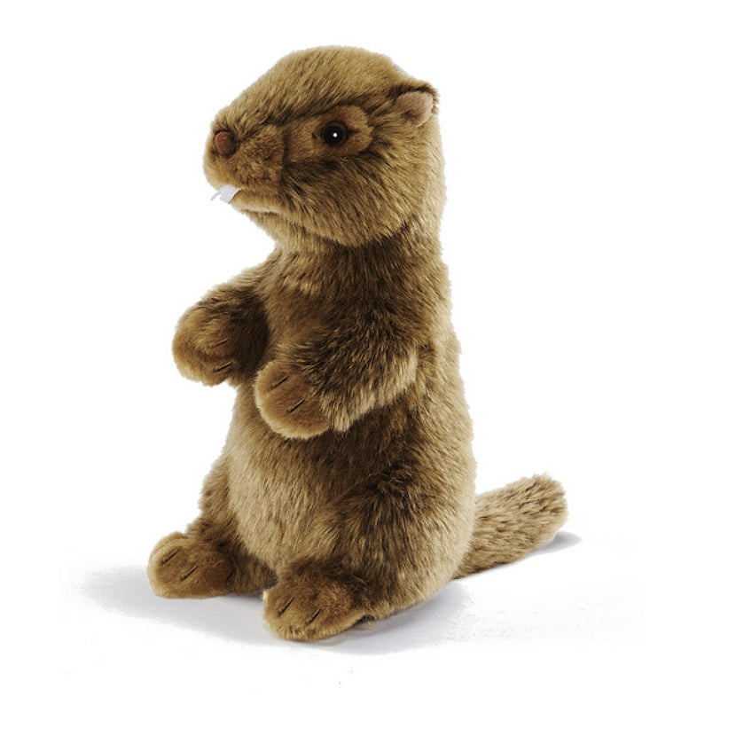 Peluche Marmotte Siffleuse 18cmH- Peluche et Doudou - Jeux d'éveil ...