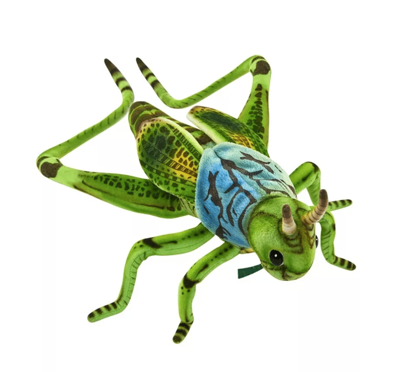 Sauterelle Verte 35cmL - Anima- Peluche et Doudou - Jeux d'éveil | Cultura