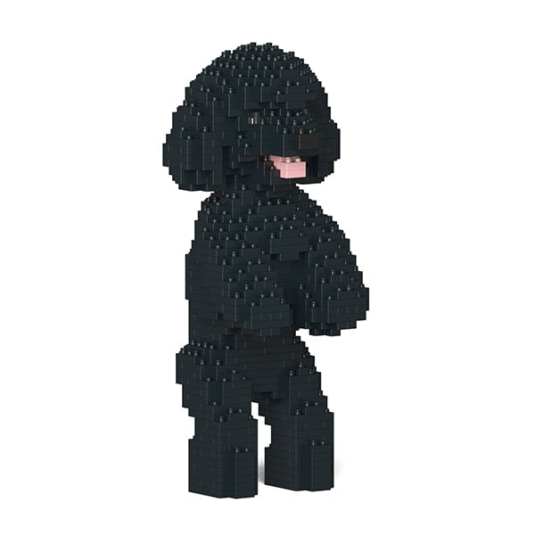 Chien Caniche Nain debout noir Taille standard | JEKCA | 14 ans et ...