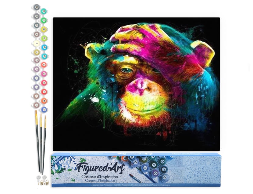Peinture par Numéro Figured'Art - Singe coloré - Kit de Loisir Créatif ...