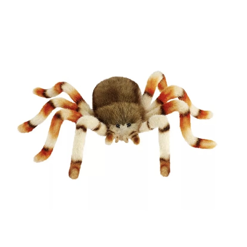 Araignee 24cmL - Anima- Peluche et Doudou - Jeux d'éveil | Cultura