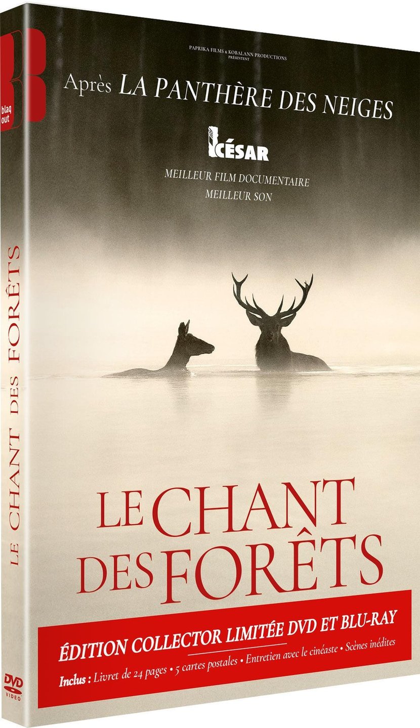 Le Chant des forêts- Blu-ray Documentaire - Blu-ray | Cultura
