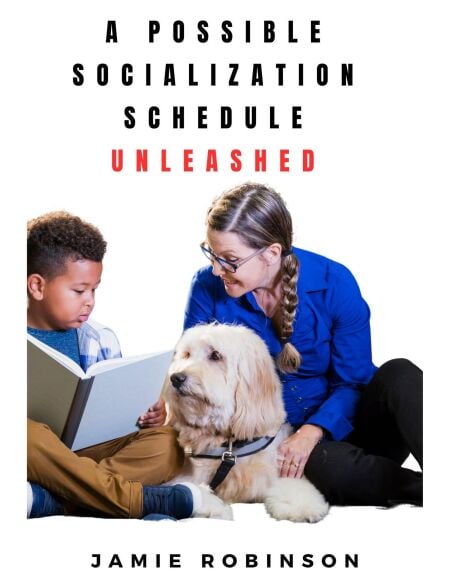 A Possible Socialization Schedule Unleashed - Dog Training General, #2 ...