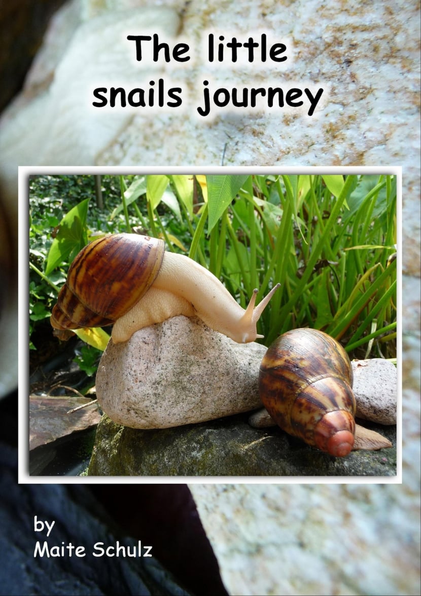 The little snails journey - Two giant African land snails go on an ...