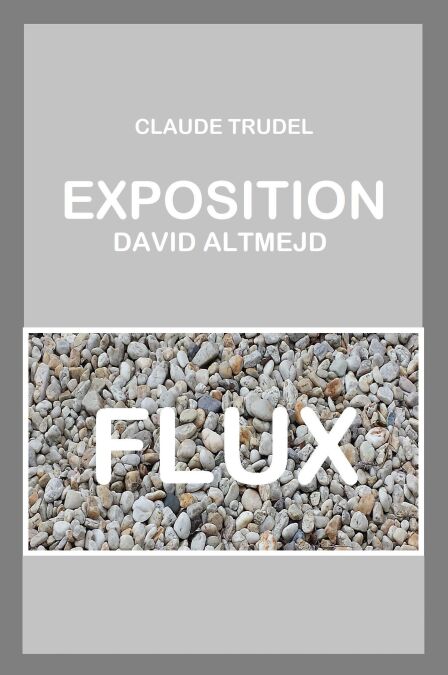 Exposition David Altmejd - Flux | Cultura