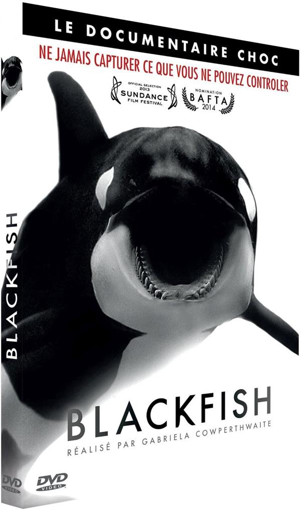 Blackfish - Documentaires - Films DVD & Blu-ray | Cultura