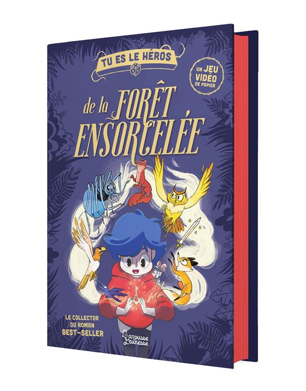 Tu es le héros : de la forêt ensorcelée - édition collector : Anne ...