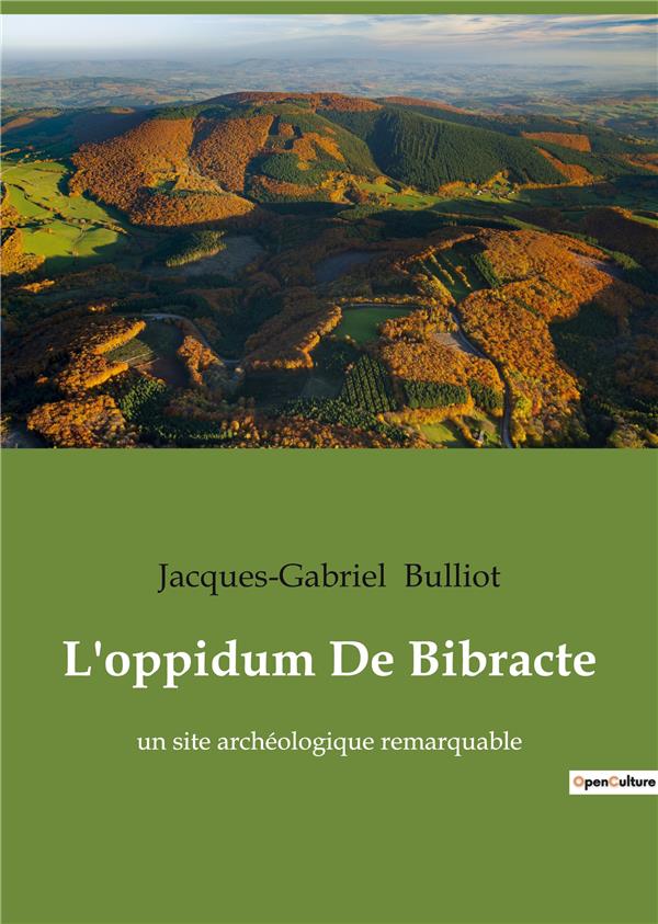 L'oppidum de bibracte - un site archeologique remarquable | Cultura