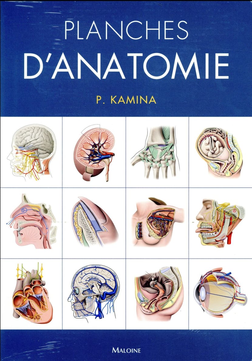 Planches d'anatomie (3e édition) : Pierre Kamina - 2224035047 - Livre ...