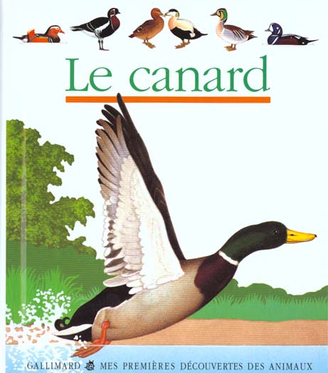 Le canard : Collectif - 2070509931 - Les documentaires dès 6 ans ...