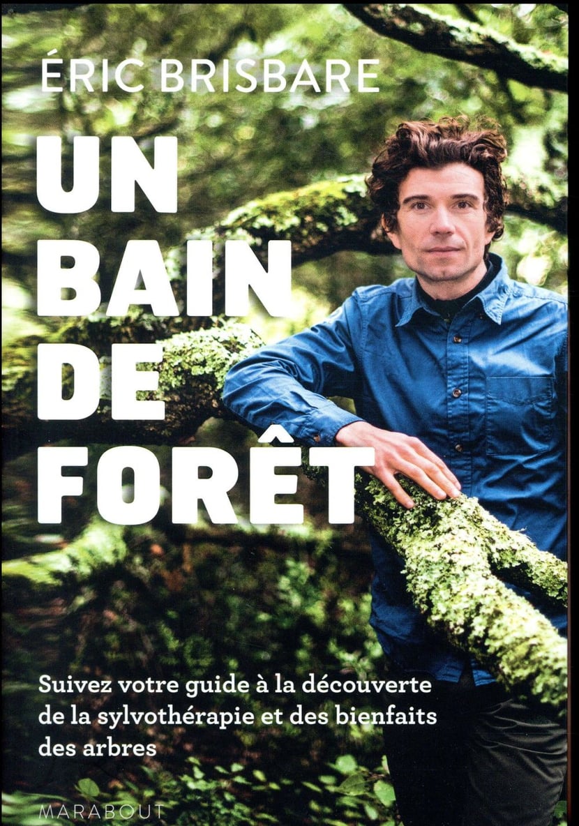 Un bain de forêt - suivez votre guide à la découverte de la sylvothérapie et des bienfaits des ...