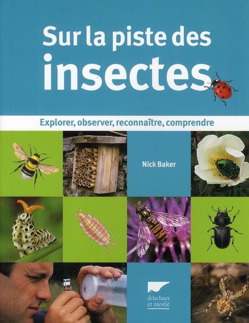 Sur la piste des insectes - explorer, observer, reconnaître, comprendre ...