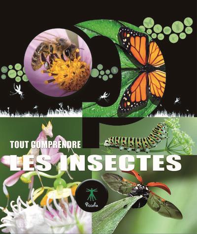 Tout comprendre : Les insectes : Collectif - 2753073848 - Les ...