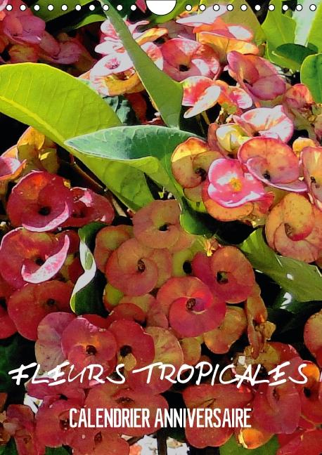 Fleurs tropicales / calendrier anniversaire (Calendrier mural ...